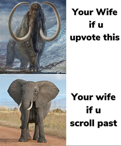 Replacing Some Of The Top Okbc Posts With Mammoth R Okbuddychicanery