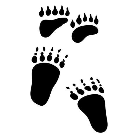 Bear Tracks Clip Art