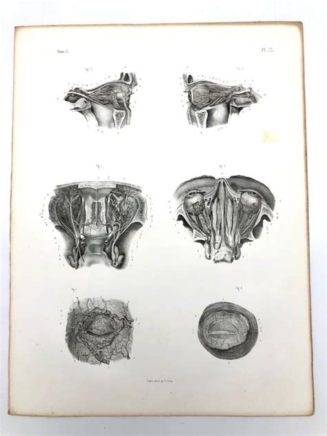 Matériel Pédagogique Nicolas Henri Jacob And Jean Baptiste Marc