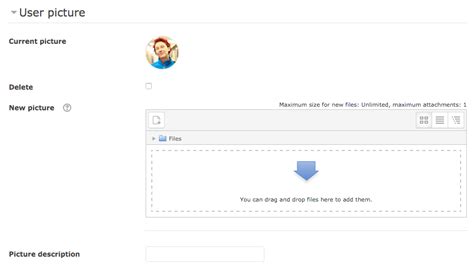 Editing Your Moodle Profile Moodle Tutorials Libguides At Pacific University