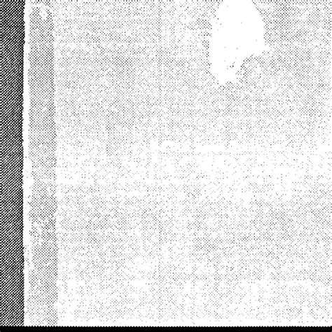 The Results Obtained From The Initial Segmentation Operation Performed