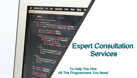 Help You Hire Roblox Scripters By Sealprogramming Fiverr