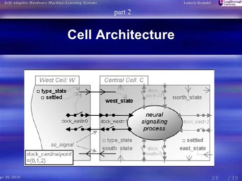 Neural Networks With Cellular Automata