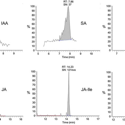 Selected Reaction Monitoring Srm Chromatograms For Various Download Scientific Diagram