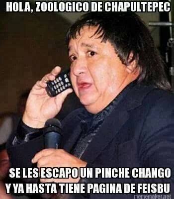 Pirruris Memes Chistosisimos Pirruris Frases De Risa