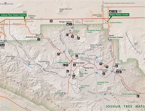 The Tonal Landscape Joshua Tree National Park