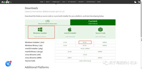 Vue前端知识nodejs安装及环境变量配置（新手教学）前端配置环境变量 Csdn博客
