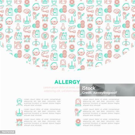 얇은 라인 아이콘 알레르기 개념 콧물 먼지 유당 편협 감귤류 해산물 글루텐 프리 먼지 미트 꽃 곰팡이 땅콩 알레르기 테스트 부종 현대 벡터 그림입니다 감귤류 과일에 대한