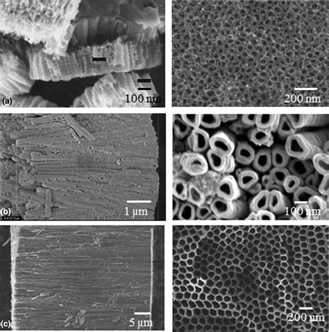 Anodically Grown Functional Oxide Nanotubes And Applications Mrs Communications Cambridge Core
