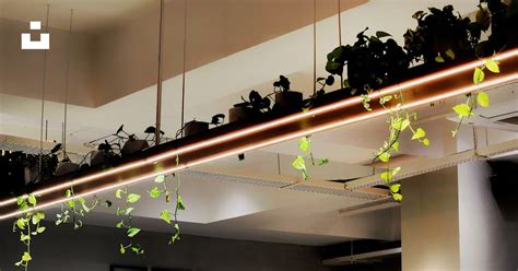 식당의 테이블에 앉아있는 한 무리의 사람들 사진 Unsplash의 무료 사무실 이미지