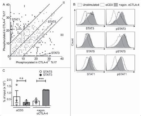 Ctla 4 Regulated Stat Phosphorylation Determines Tc17 Differentiation Download Scientific