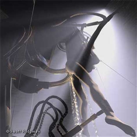 Sex Machines Animation Nakednoises