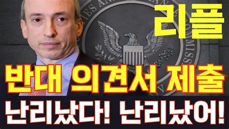 리플 Xrp 반대의견서 제출 난리났다 난리났어 Youtube