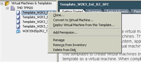 VMware ESX Deploy Template Wizard And MS SYSPREP Guest Customization Grayed Out