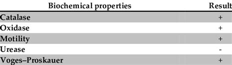 Biochemical Properties Of Sphingobacterium Sp Sah 05 Strain Download Table
