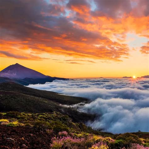 Teide Excursions Tenerife Discover Unforgettable Volcano Adventures