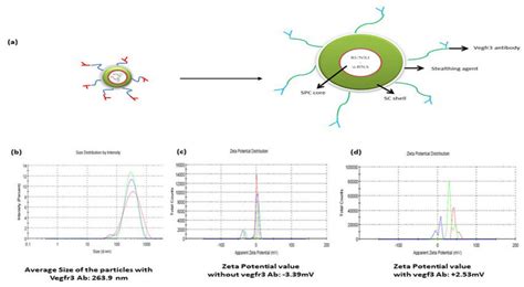 Development And Characterization Of Runx1 Sirna Engineered Stealth