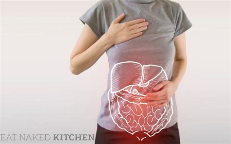 What S The Gut Got To Do With It Why Starting With Digestive Healing