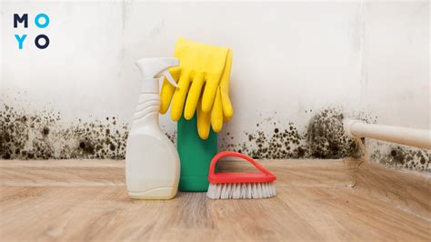 Кондиционер при сырости в доме 90 фото