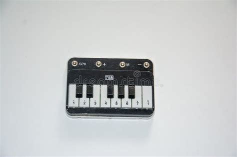 Mini Black And White Piano Keyboard Module Labeled With Tone Control