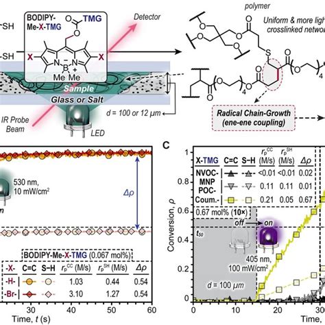 Anionic Step Growth Photopolymerizations Catalysed By Tmg A Download Scientific Diagram