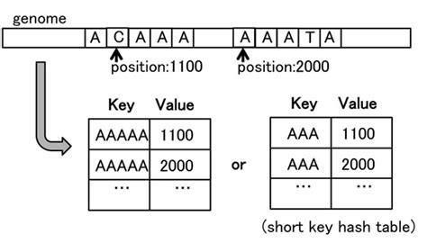 proposed hash table entries of proposed hash tables subsequence