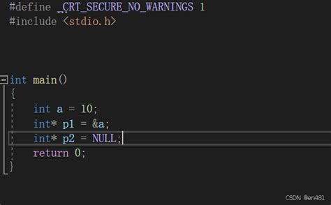 C语言中的野指针未初始化的指针指向哪里 Csdn博客