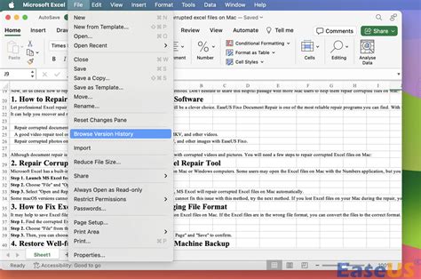 Cara Memulihkan Versi File Excel Sebelumnya Di Mac