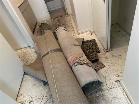 How To Remove Carpet Safely And Efficiently DustRam