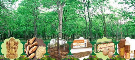 Srigandham Plantation Plots