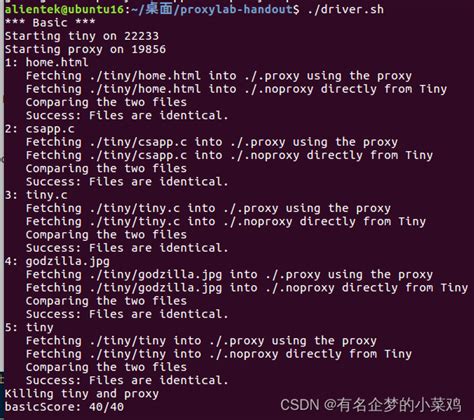 csapp的lab学习——proxylab proxylab实验 csdn博客
