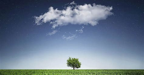 what is sitecore xm cloud oshyn