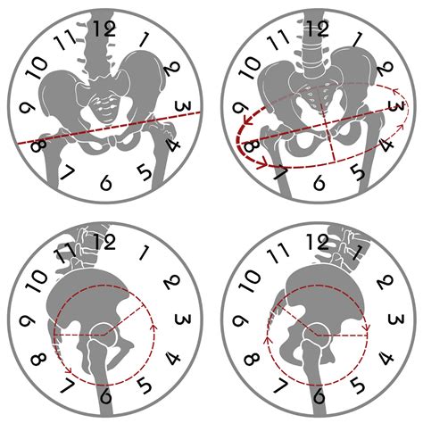 How To Keep A Neutral Spine Position — Pelvic Clock® Exercise Device