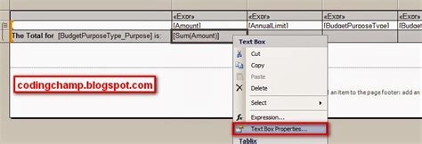 Coding Champ Precision Design In Ssrs Reports