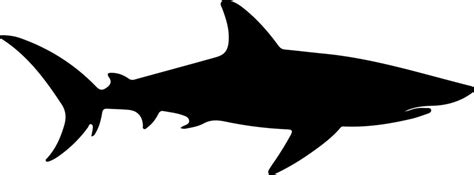 Hammerhead Shark Silhouette Vector Art Icons And Graphics For Free