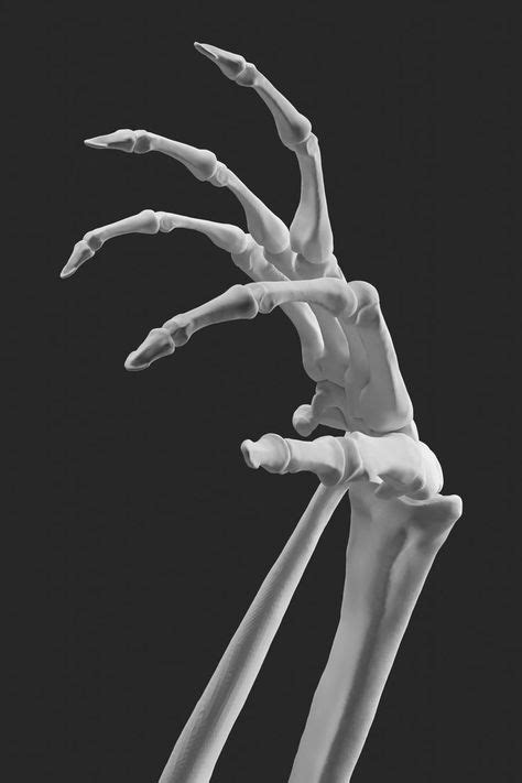 Skeleton Hand Poses Reference