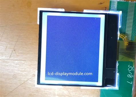 FSTN X Chip On Glass Lcd White Backlight Positive Transflective LCD Module