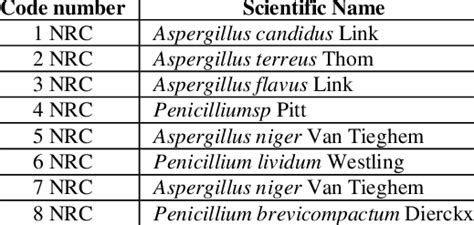 Identification Of Different Isolated Fungal Strains Download Table