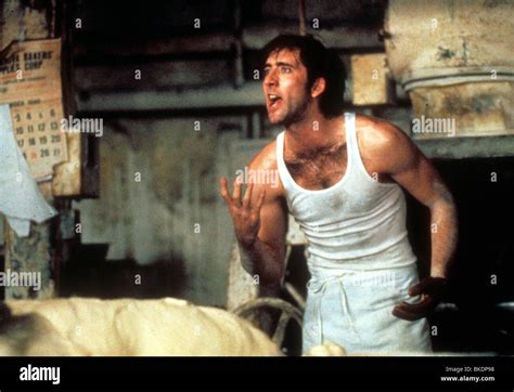 Moonstruck Imdb Quotes