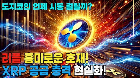 Xrp 100달러 음모론 실체 Youtube