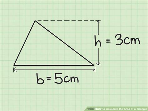 5 Ways To Calculate The Area Of A Triangle WikiHow