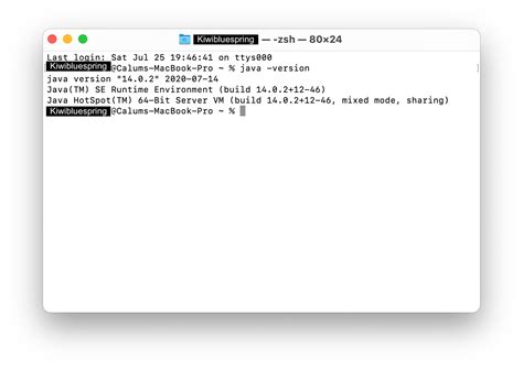 None Of My Jar Files Will Open On Macos Rmacos