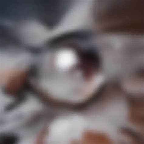 Understanding High Eosinophil Count Causes And Implications