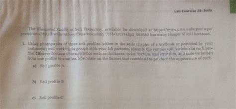 Lab Exercise Soils The Illustrated Guide To Soil Chegg Com