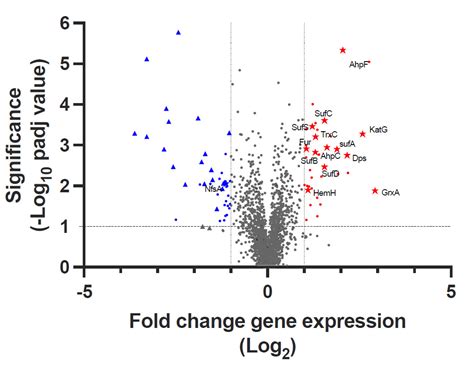 Proteomics Neb