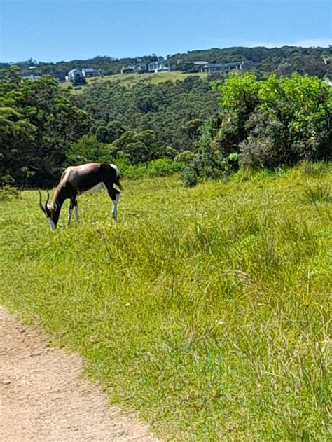 Burton Safari Tours And Shuttle Services Burton Safari Tours And Shuttle