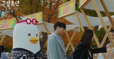 부산 소통캐릭터 부기 드라마 ‘열녀박씨 계약결혼뎐 출연