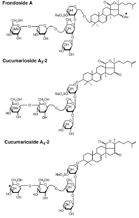 Chemical Structure Of Triterpene Glycoside Frondoside A A 2 2 And A 4