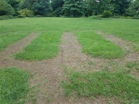 Green Grass With Large Brown Dead Patches Stock Image Image Of Lawn