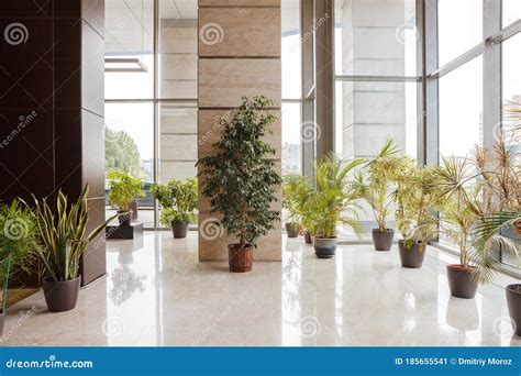 área Del Vestíbulo De Edificios Imagen De Archivo Imagen De Casa Columna 185655541